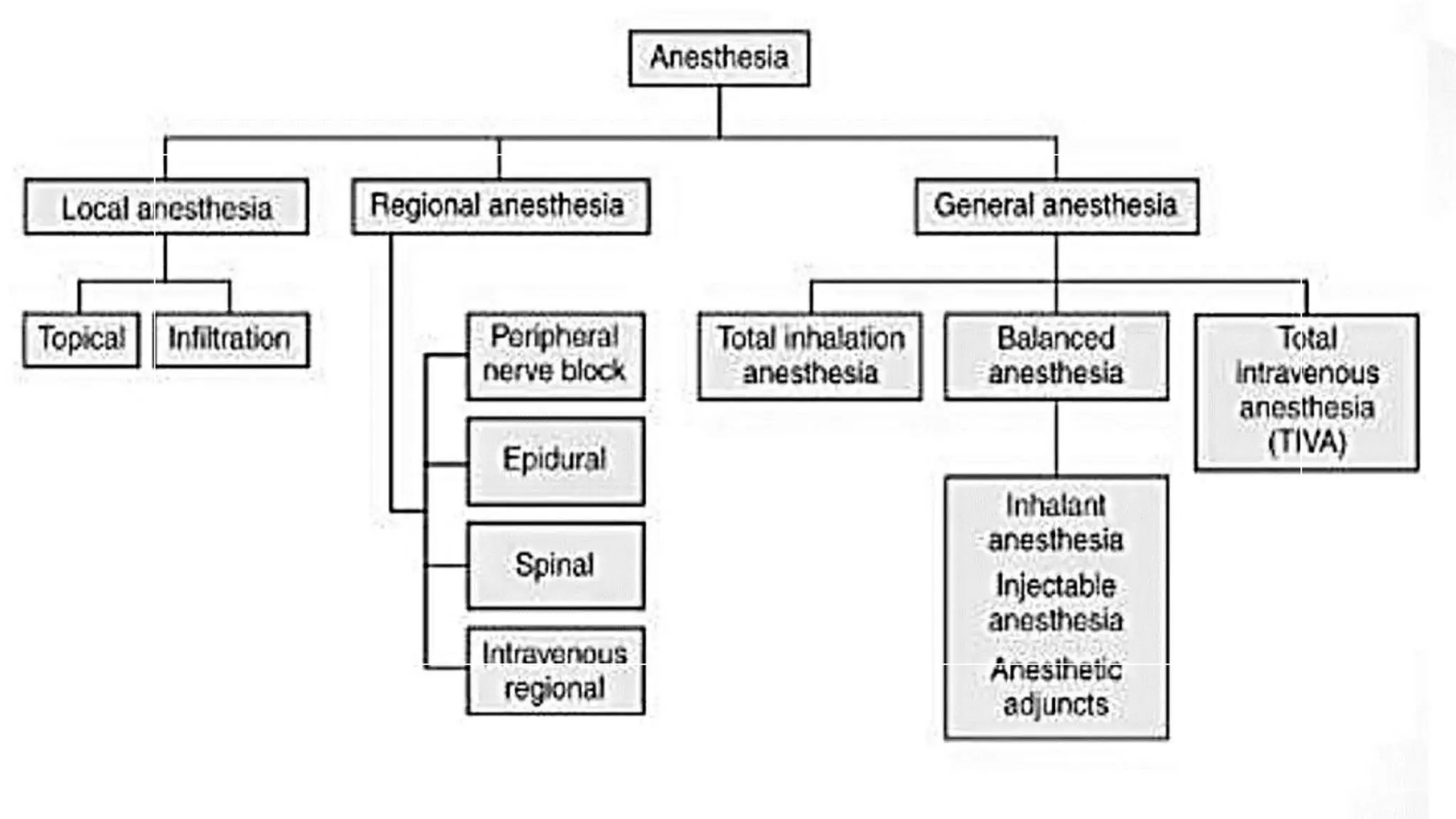 Types of anaesthesia veterinary, ideal anaesthesia, preanaesthesia | PPTX