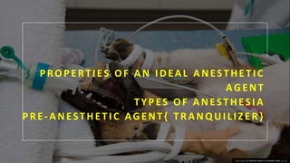 Types of anaesthesia veterinary, ideal anaesthesia, preanaesthesia | PPTX