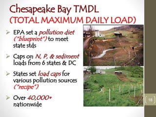 An Overview of the Chesapeake Bay | PDF