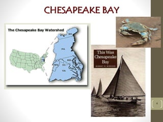 An Overview of the Chesapeake Bay | PDF