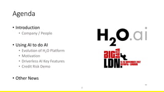 H2O.ai's Driverless AI | PDF