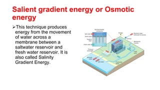 Potential of Marine renewable and Non renewable energy.pptx