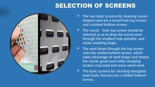 Evaluate and Grade Seed Grade 8 Home Eco | PPTX