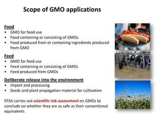 Gmo Risks