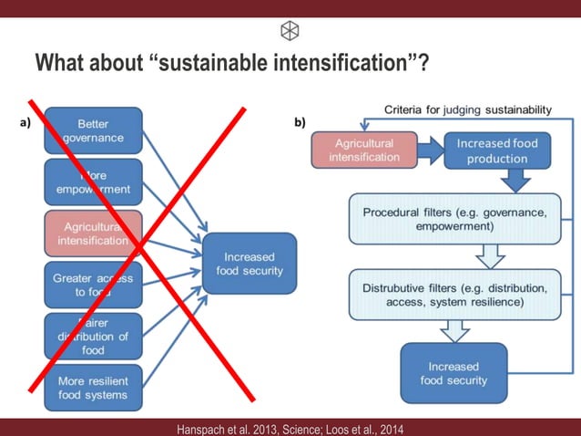 Joern fischer addis ababa university | PPT