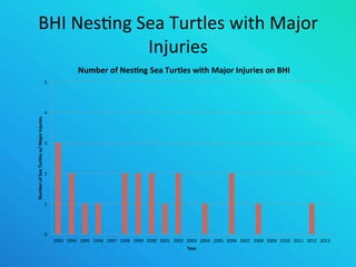 Sea Turtle Injuries on Bald Head Island and their Effects on Fecundity ...