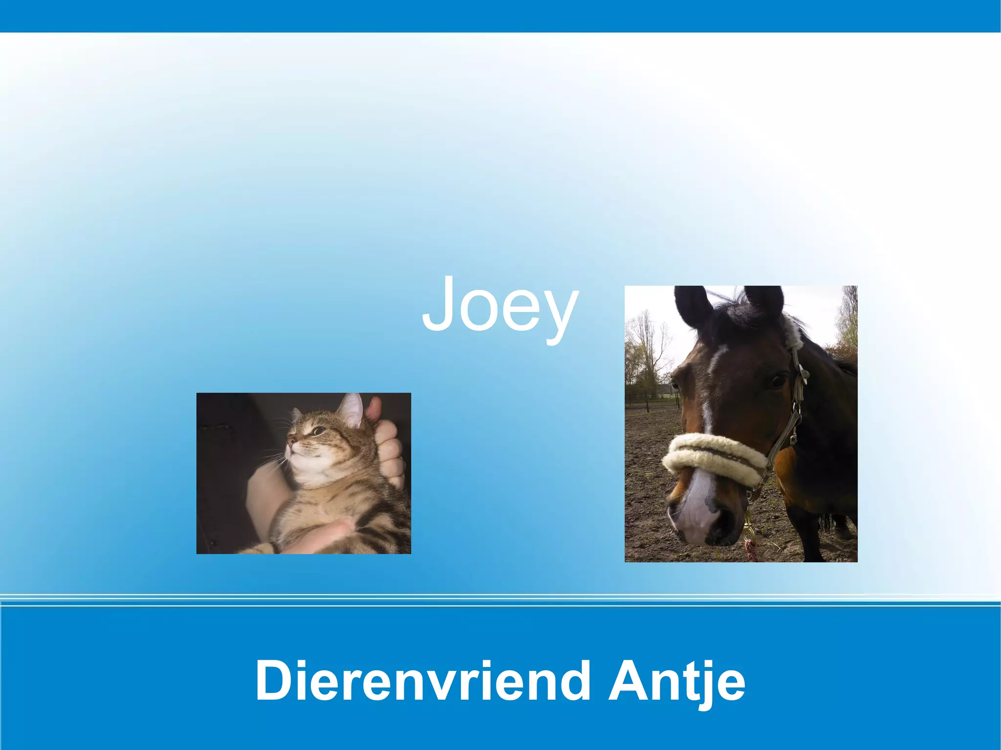 Joey - spreekbeurt Antje | ODP