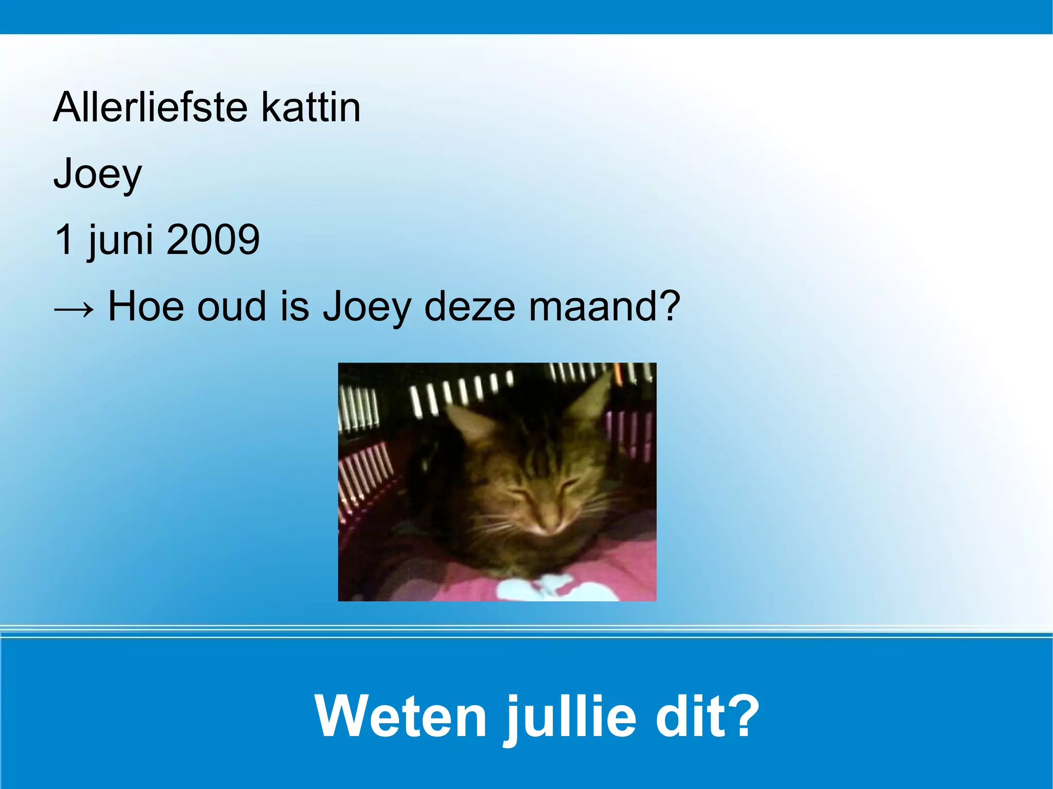 Joey - spreekbeurt Antje | ODP