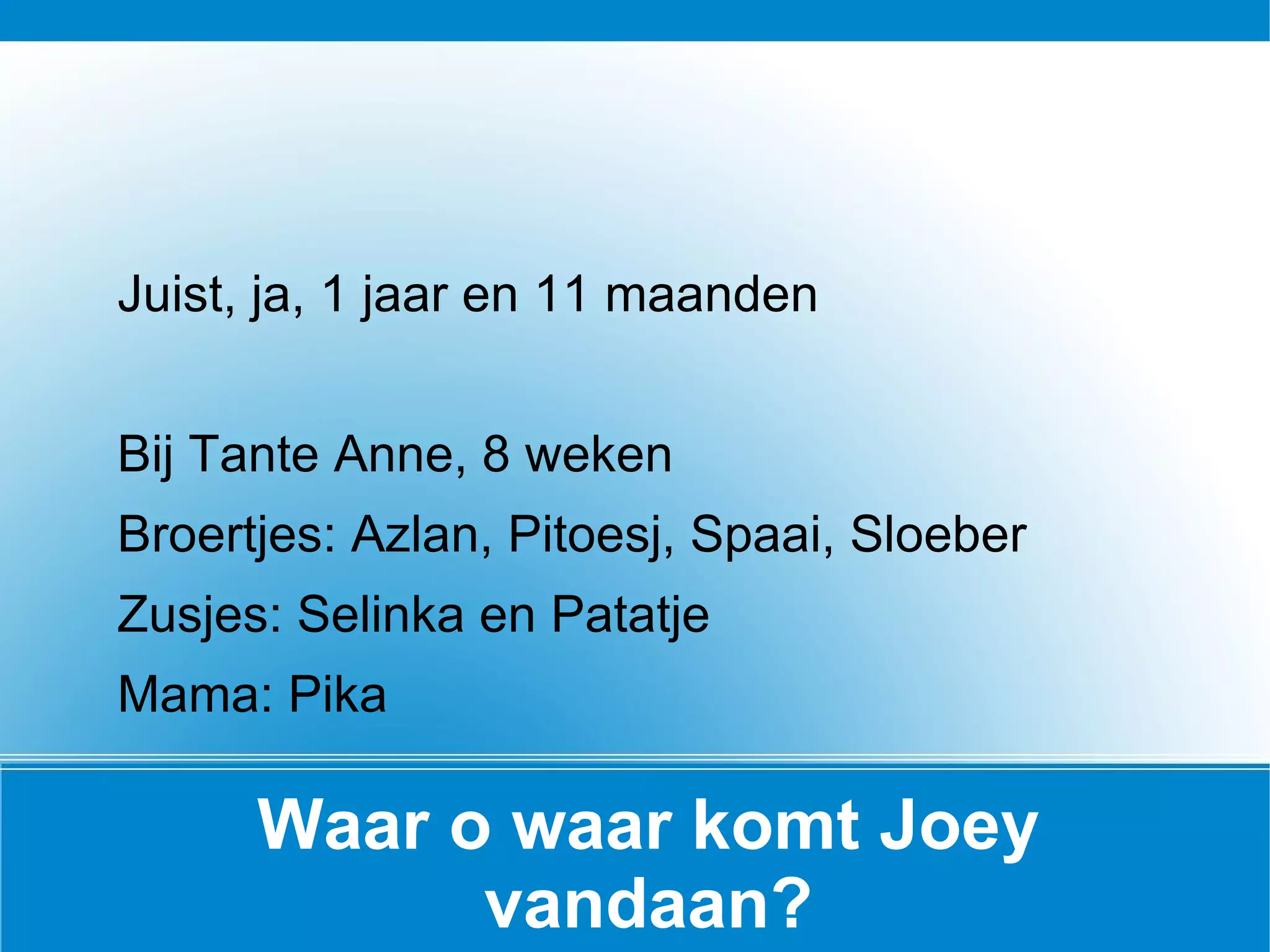 Joey - spreekbeurt Antje | ODP