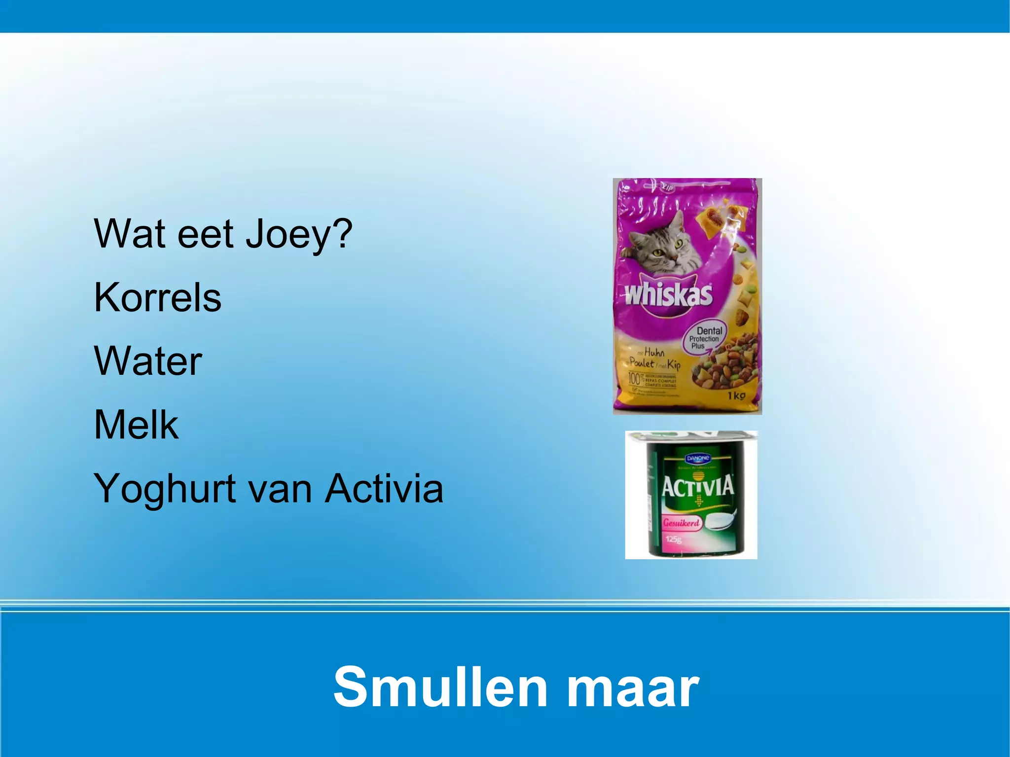 Joey - spreekbeurt Antje | ODP