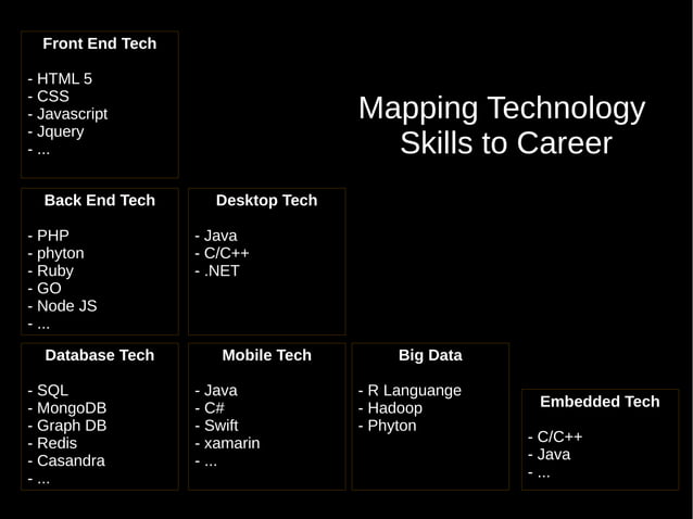 introduction to programmer career path | PDF | Web Development | Internet