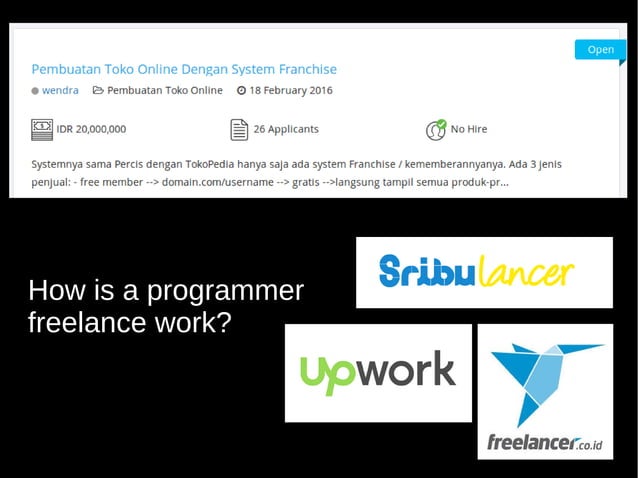 Introduction To Programmer Career Path Pdf Web Development Internet