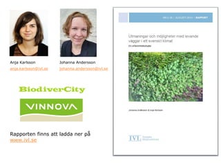 Johanna Andersson IVL | PDF