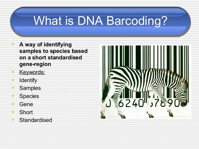 Johannes Bergsten Dna Barcoding