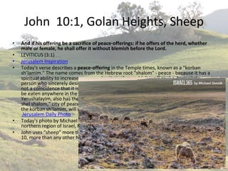 John 10;1-11, A Good Shepherd; “sheep/Shepherd”; no parables in John; I ...