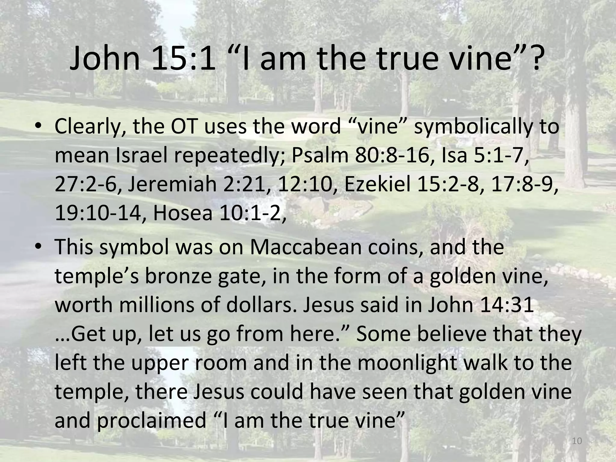 John 15:1-8, Difficult passage, Israel vine, Jesus True Vine ...