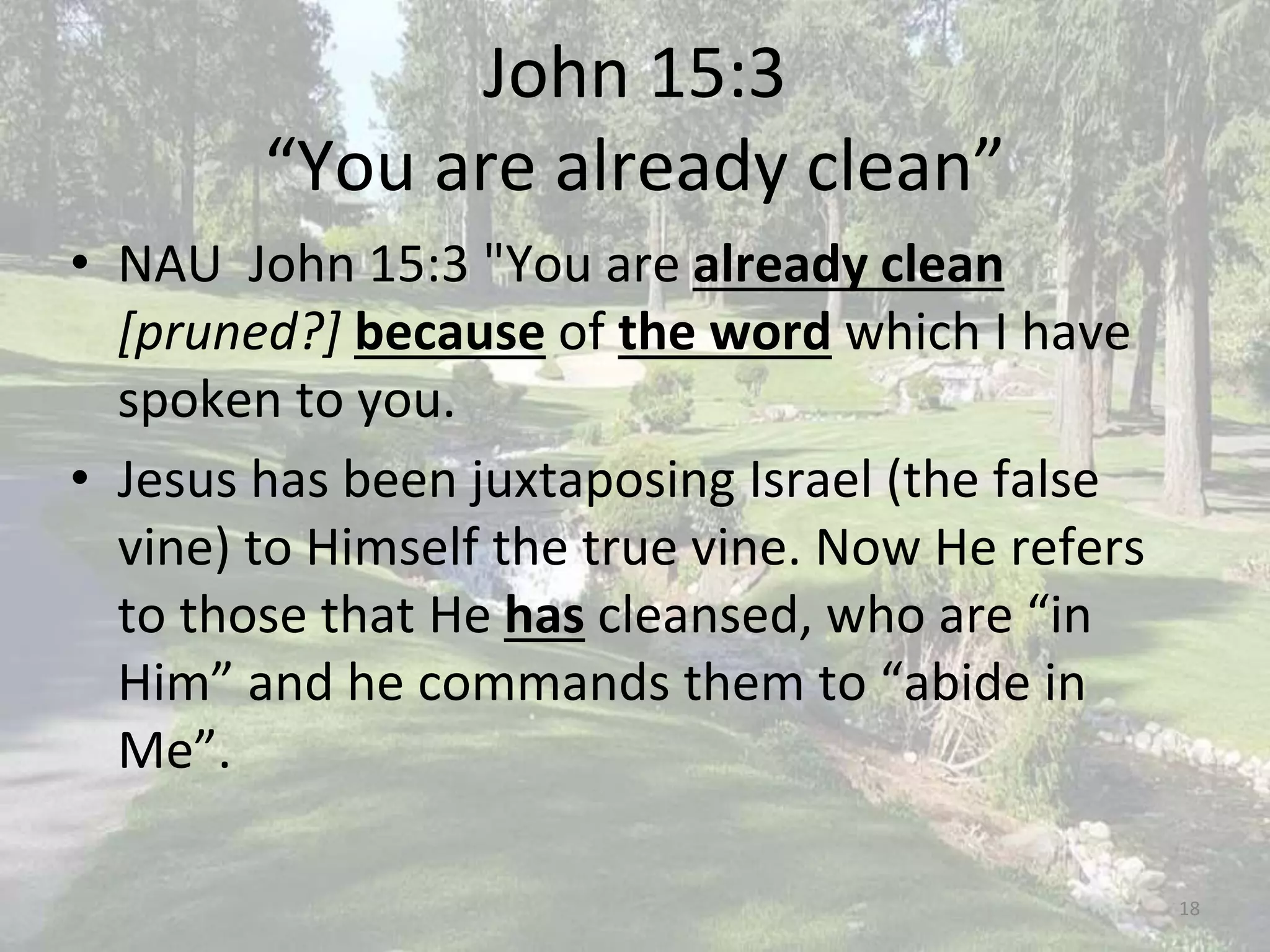 John 15:1-8, Difficult passage, Israel vine, Jesus True Vine ...