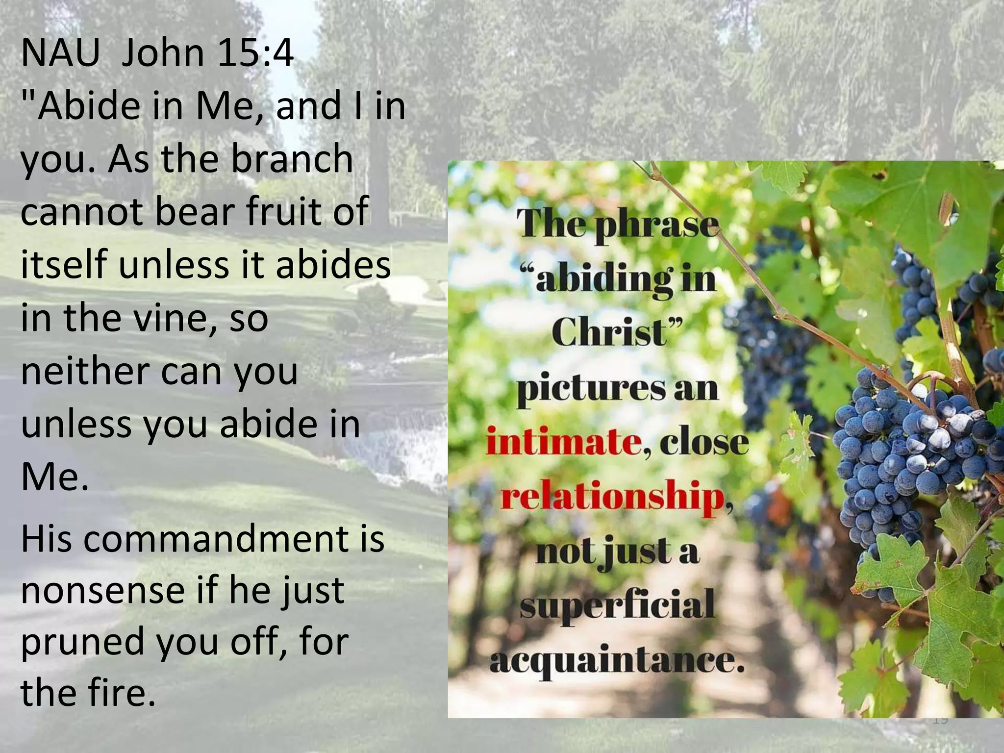John 15:1-8, Difficult passage, Israel vine, Jesus True Vine ...