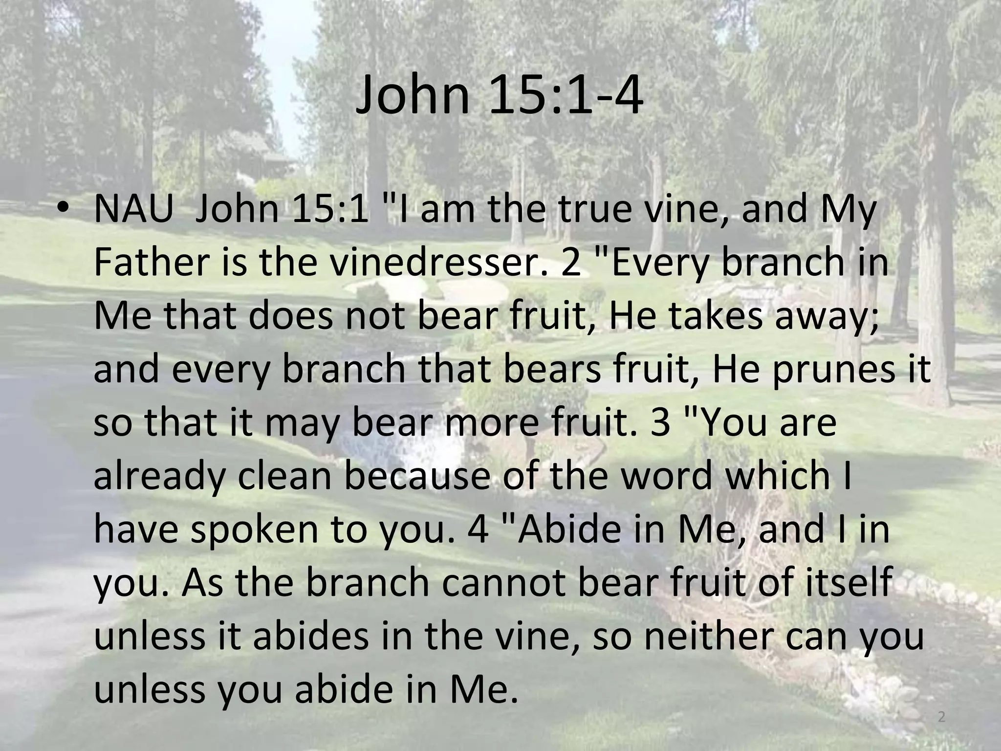 John 15:1-8, Difficult passage, Israel vine, Jesus True Vine; Unbelievers get burned, lifted up ...