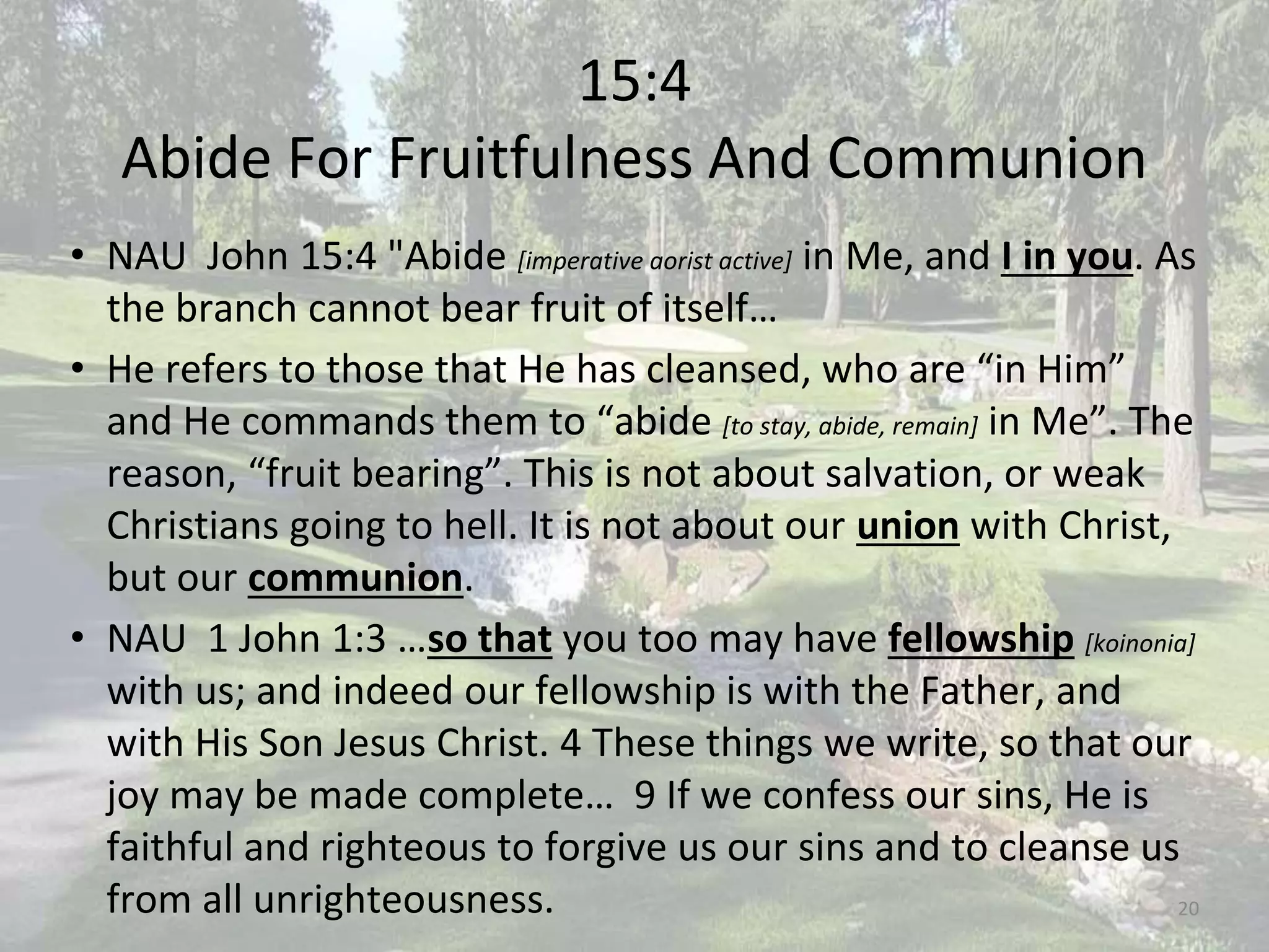 John 15:1-8, Difficult passage, Israel vine, Jesus True Vine ...