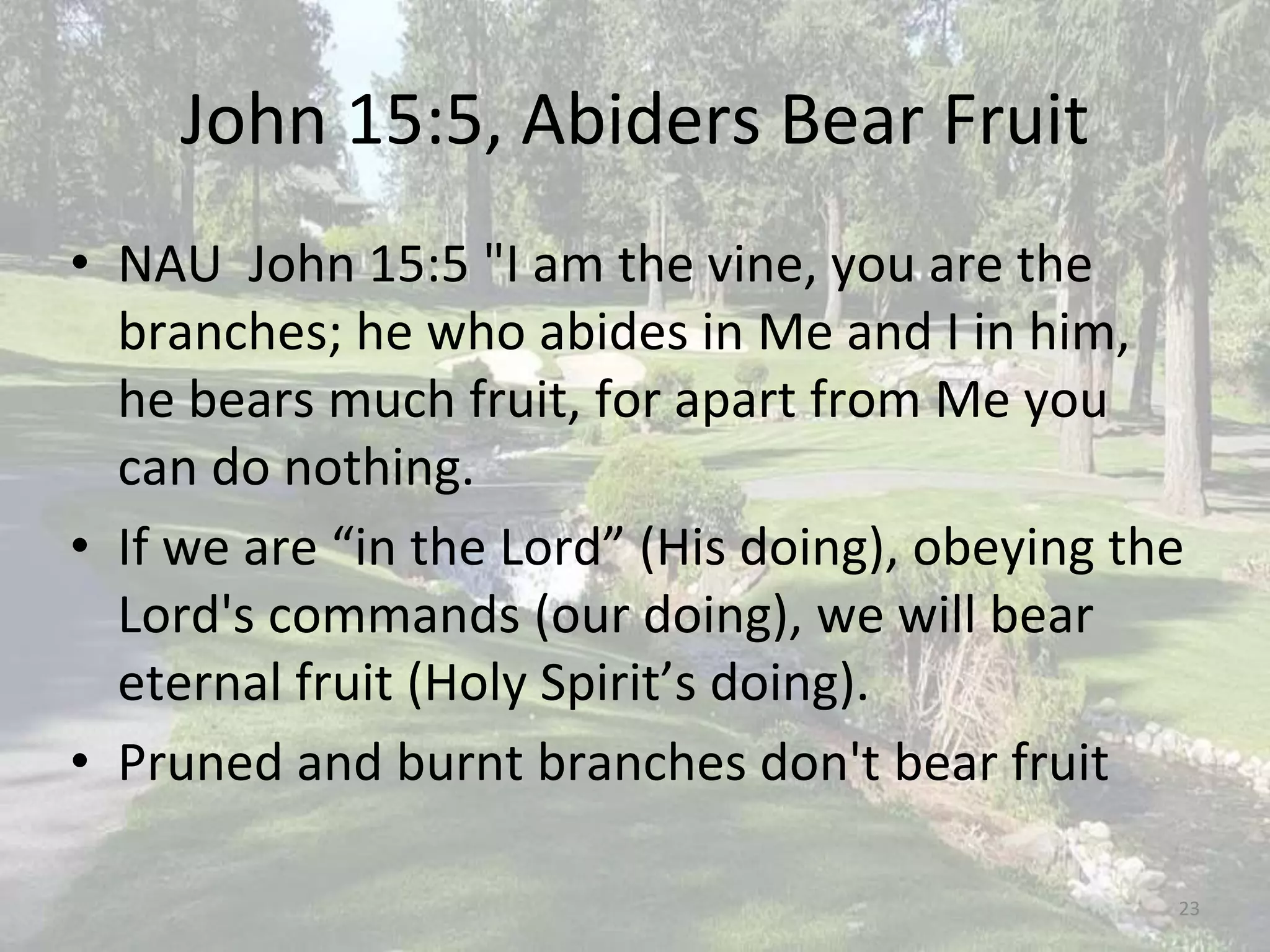 John 15:1-8, Difficult passage, Israel vine, Jesus True Vine ...