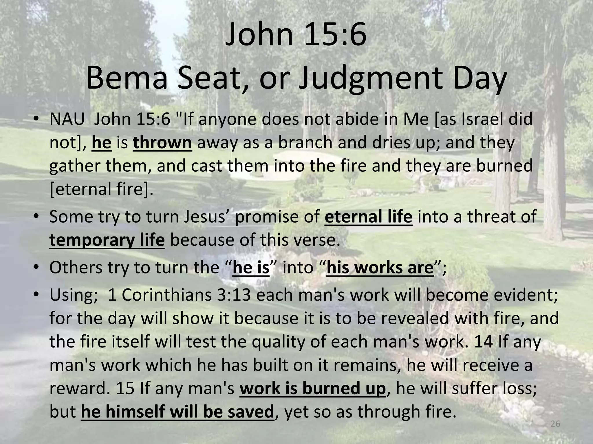 John 15:1-8, Difficult passage, Israel vine, Jesus True Vine ...