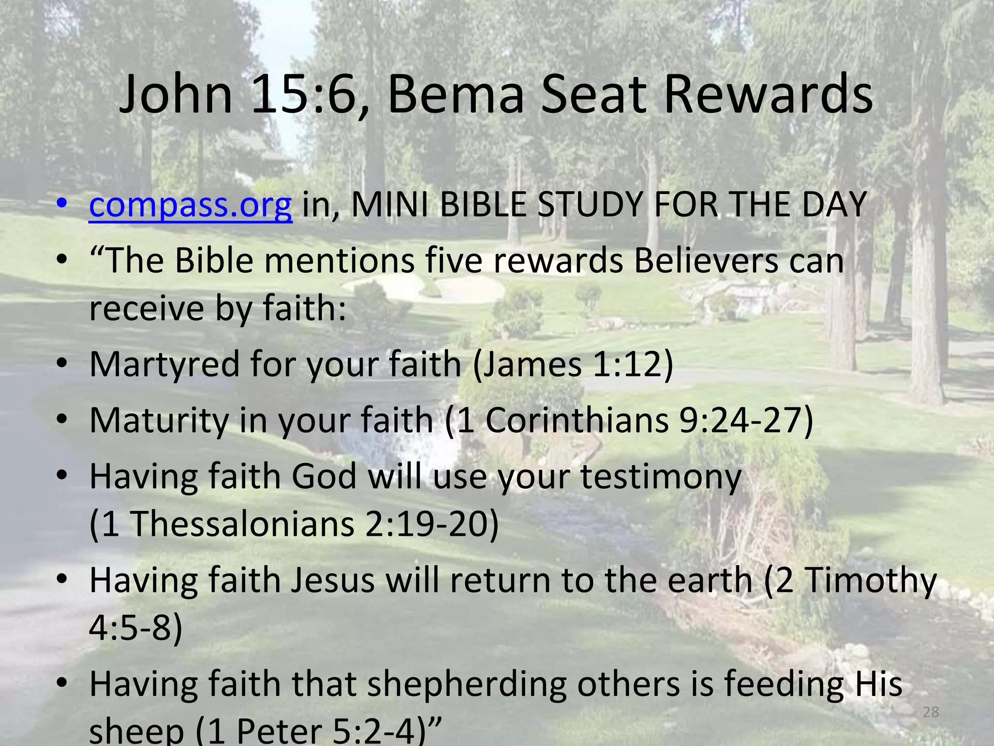 John 15:1-8, Difficult passage, Israel vine, Jesus True Vine ...