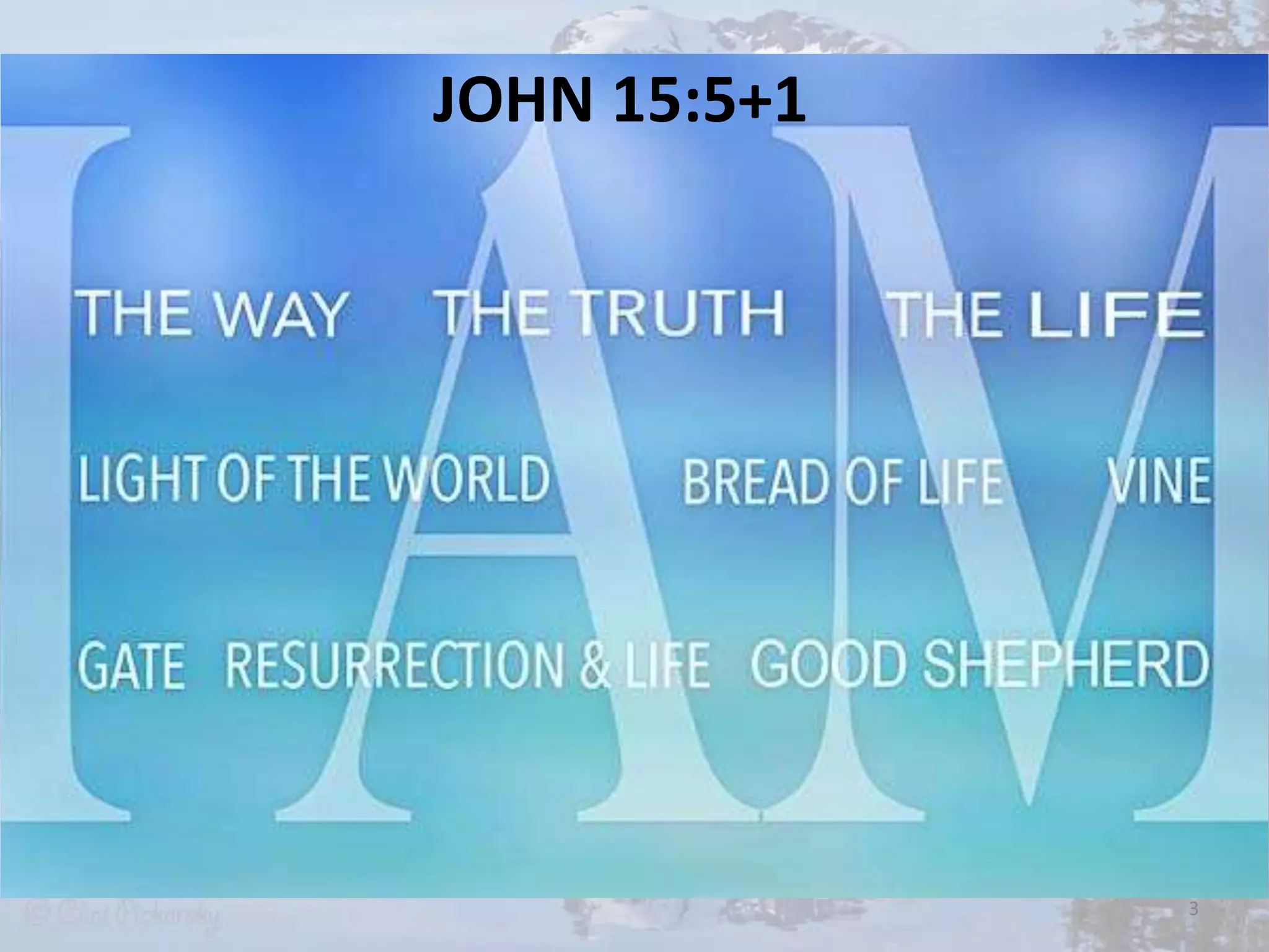 John 15:1-8, Difficult passage, Israel vine, Jesus True Vine ...