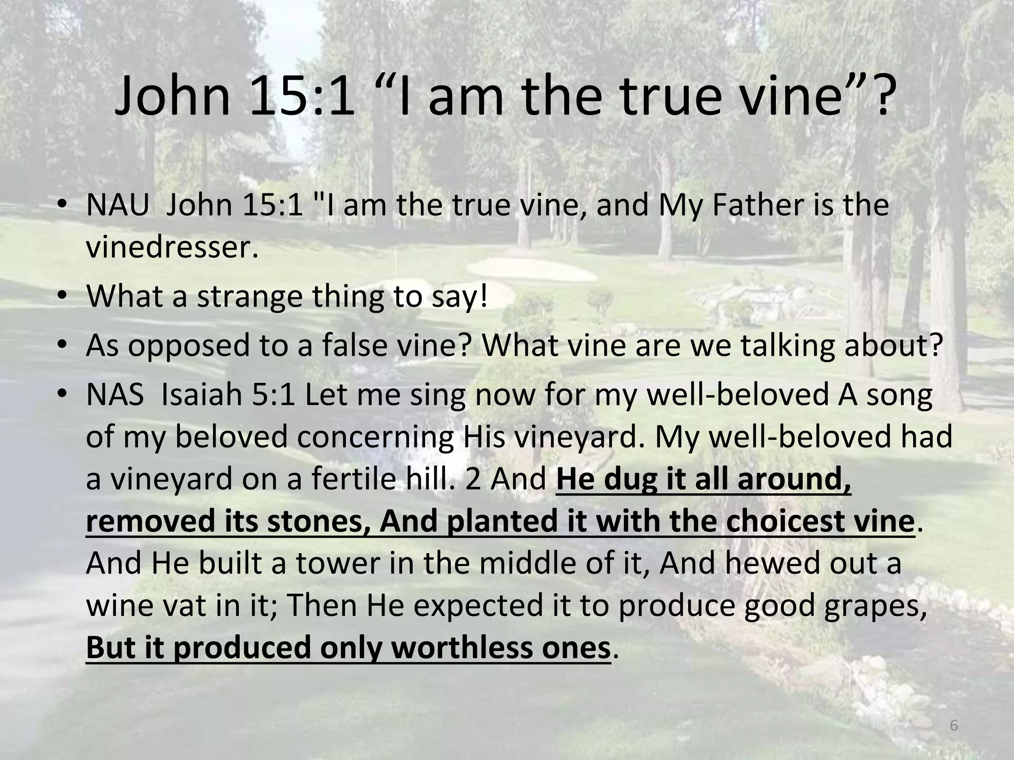 John 15:1-8, Difficult passage, Israel vine, Jesus True Vine ...