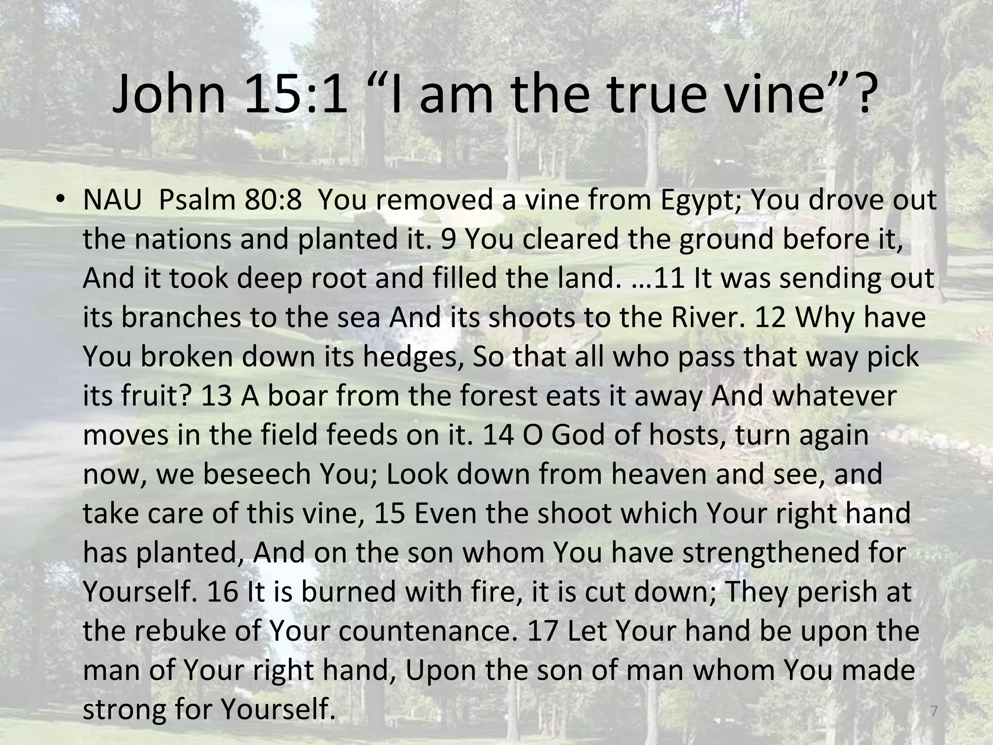 John 15:1-8, Difficult passage, Israel vine, Jesus True Vine ...