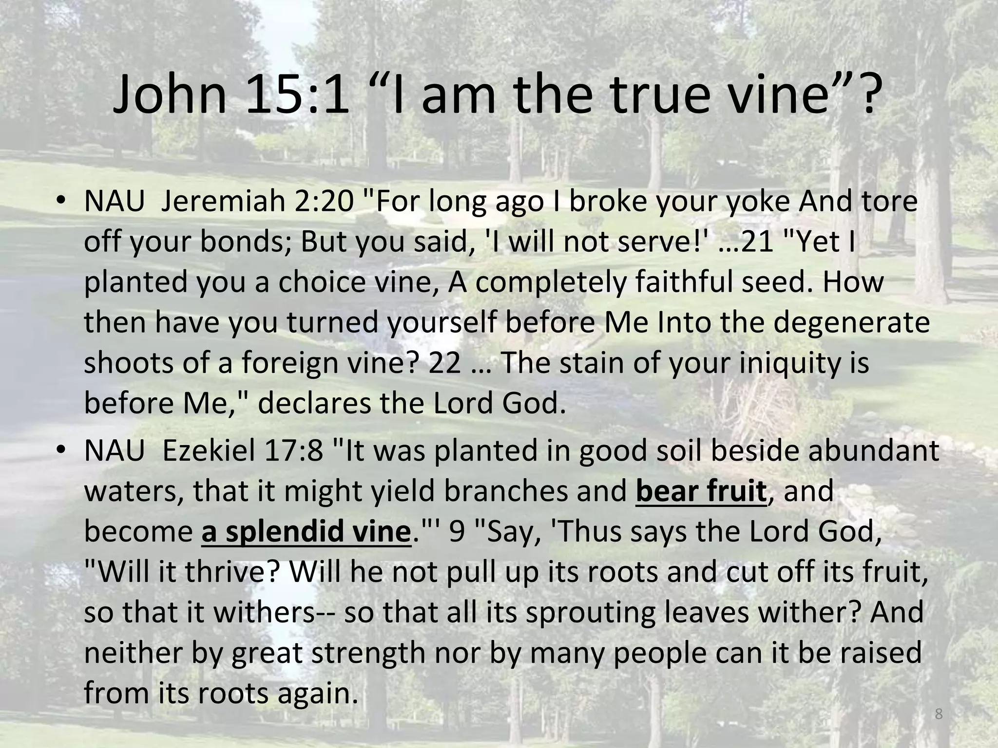 John 15:1-8, Difficult passage, Israel vine, Jesus True Vine ...