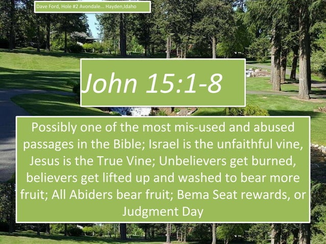 John 15:1-8, Difficult passage, Israel vine, Jesus True Vine ...
