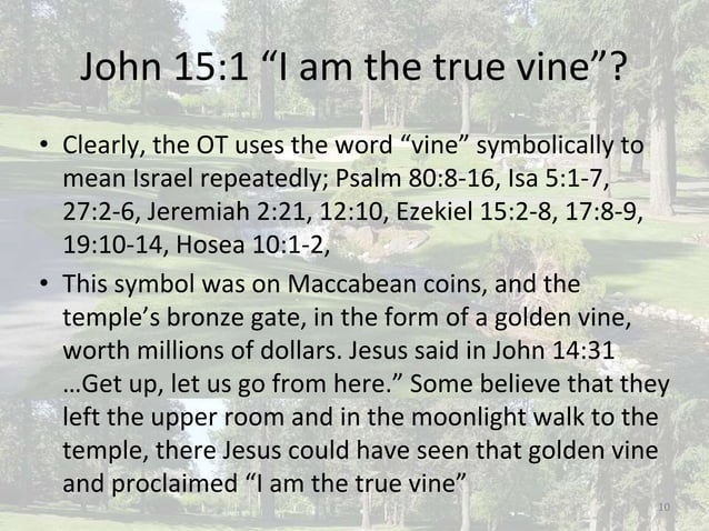 John 15:1-8, Difficult passage, Israel vine, Jesus True Vine ...
