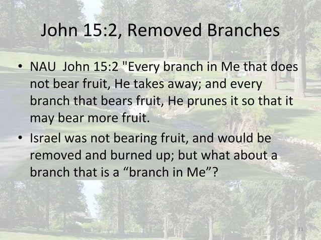 John 15:1-8, Difficult passage, Israel vine, Jesus True Vine ...