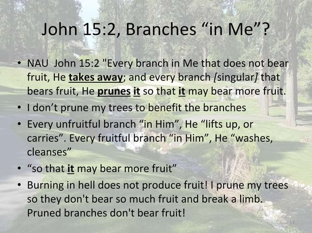 John 15:1-8, Difficult passage, Israel vine, Jesus True Vine ...