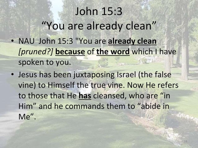 John 15:1-8, Difficult passage, Israel vine, Jesus True Vine ...