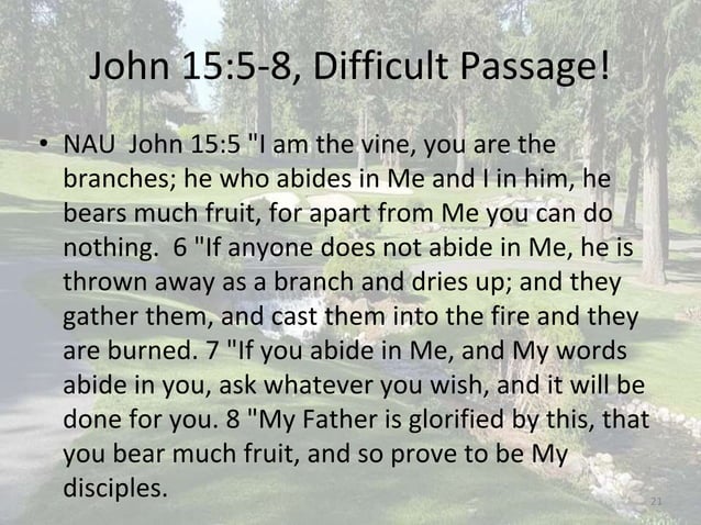 John 15:1-8, Difficult passage, Israel vine, Jesus True Vine ...