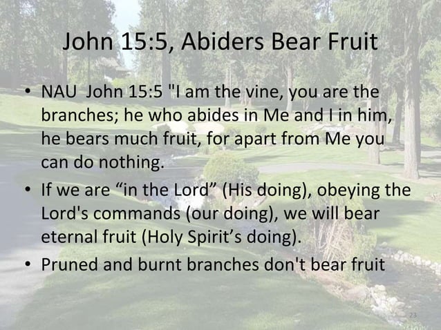 John 15:1-8, Difficult passage, Israel vine, Jesus True Vine ...