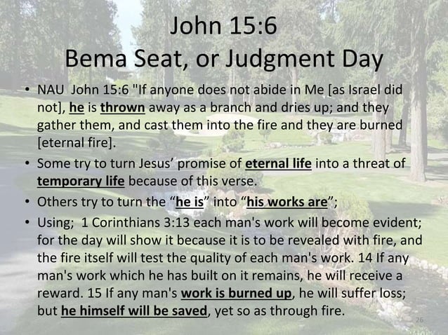 John 15:1-8, Difficult passage, Israel vine, Jesus True Vine ...