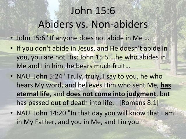 John 15:1-8, Difficult passage, Israel vine, Jesus True Vine ...