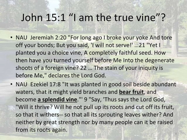 John 15:1-8, Difficult passage, Israel vine, Jesus True Vine ...