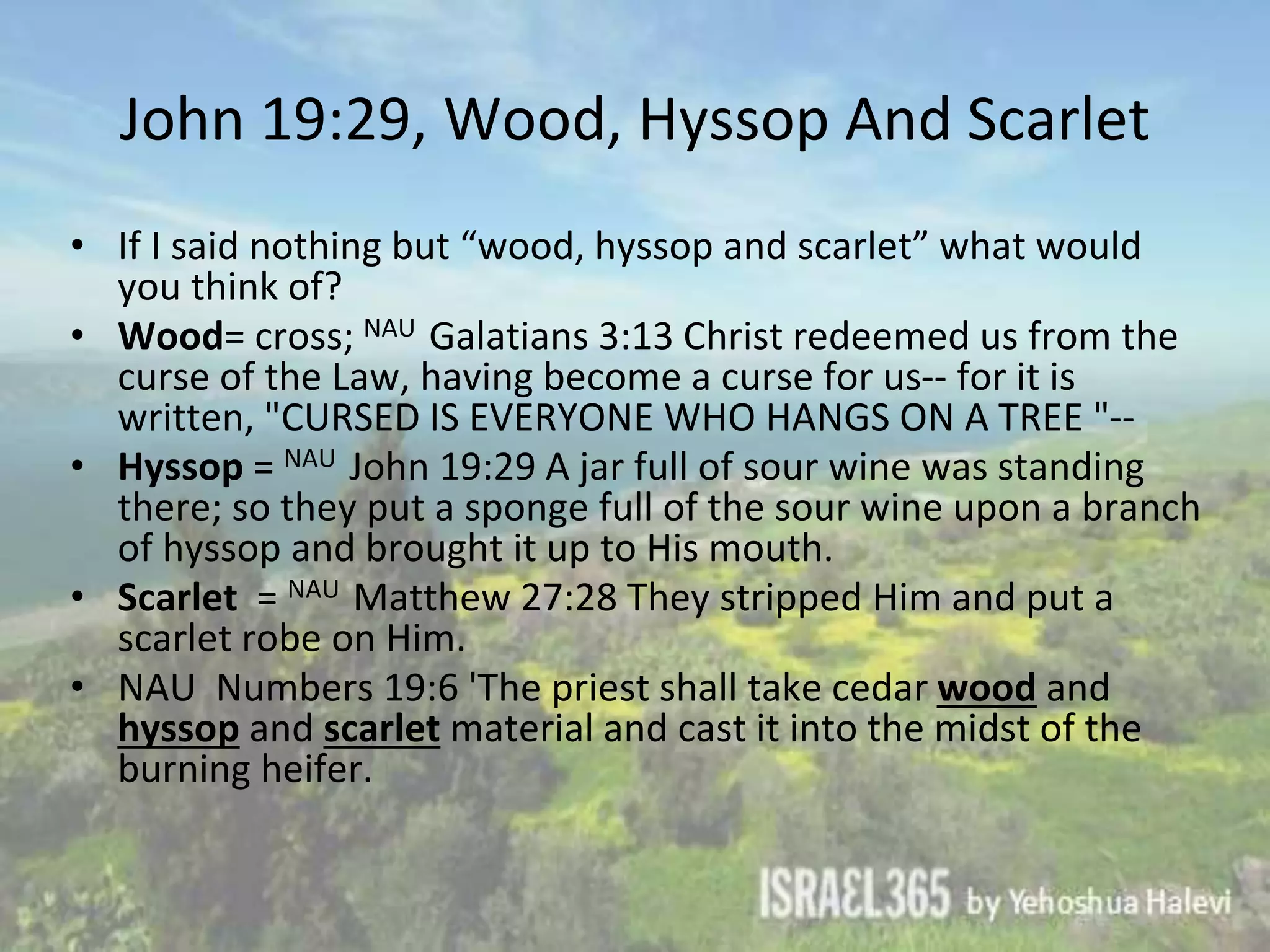 John 19, Scourge; Crucify; Authority; Degrees Of Sin Punishment; Roman ...