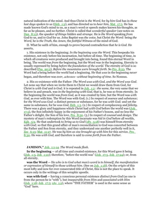 John 1 commentary | PDF