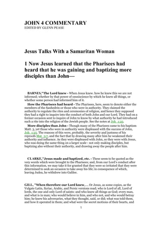 John 4 commentary | PDF