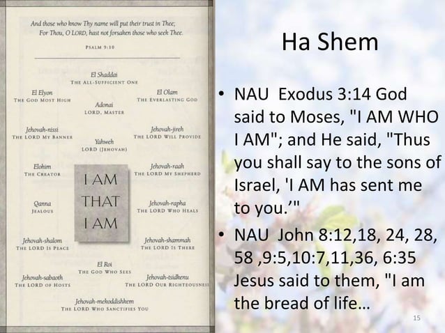 John 9, Children And The Sins Of The Parents, Miracle 6, Man Born Blind ...