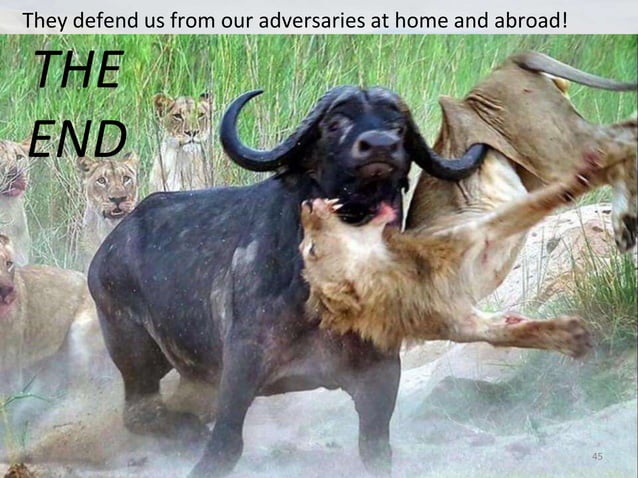 John 9, Children And The Sins Of The Parents, Miracle 6, Man Born Blind ...