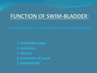 JOHN BASUMATARY3.pptx .swim bladder | PPTX