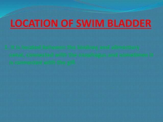 JOHN BASUMATARY3.pptx .swim bladder | PPT