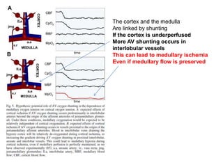 ICN Victoria: Botha on Acute Renal Failure | PPT