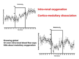 ICN Victoria: Botha on Acute Renal Failure | PPT